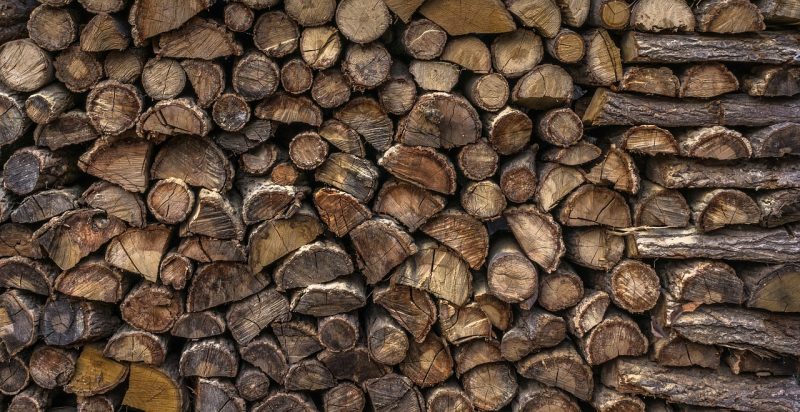 How to Get Rid of Bugs in Firewood and Woodpiles (Naturally) | BugWiz