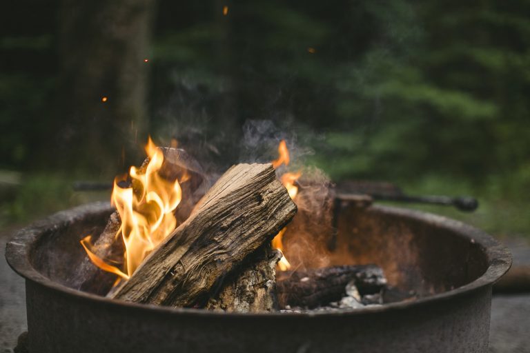 How to Get Rid of Bugs in Firewood and Woodpiles (Naturally) | BugWiz