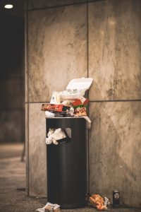 How to Get Rid of Bugs in Your Kitchen Trash Can (Keep Them Out!) | BugWiz